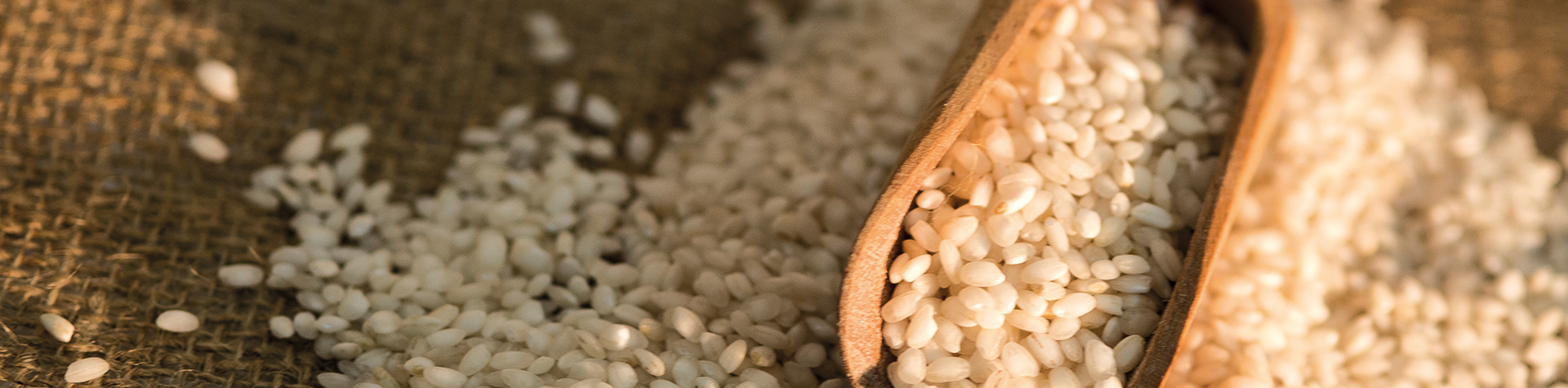 Rice Archivi - Romeo e Giulietta Food and Wine